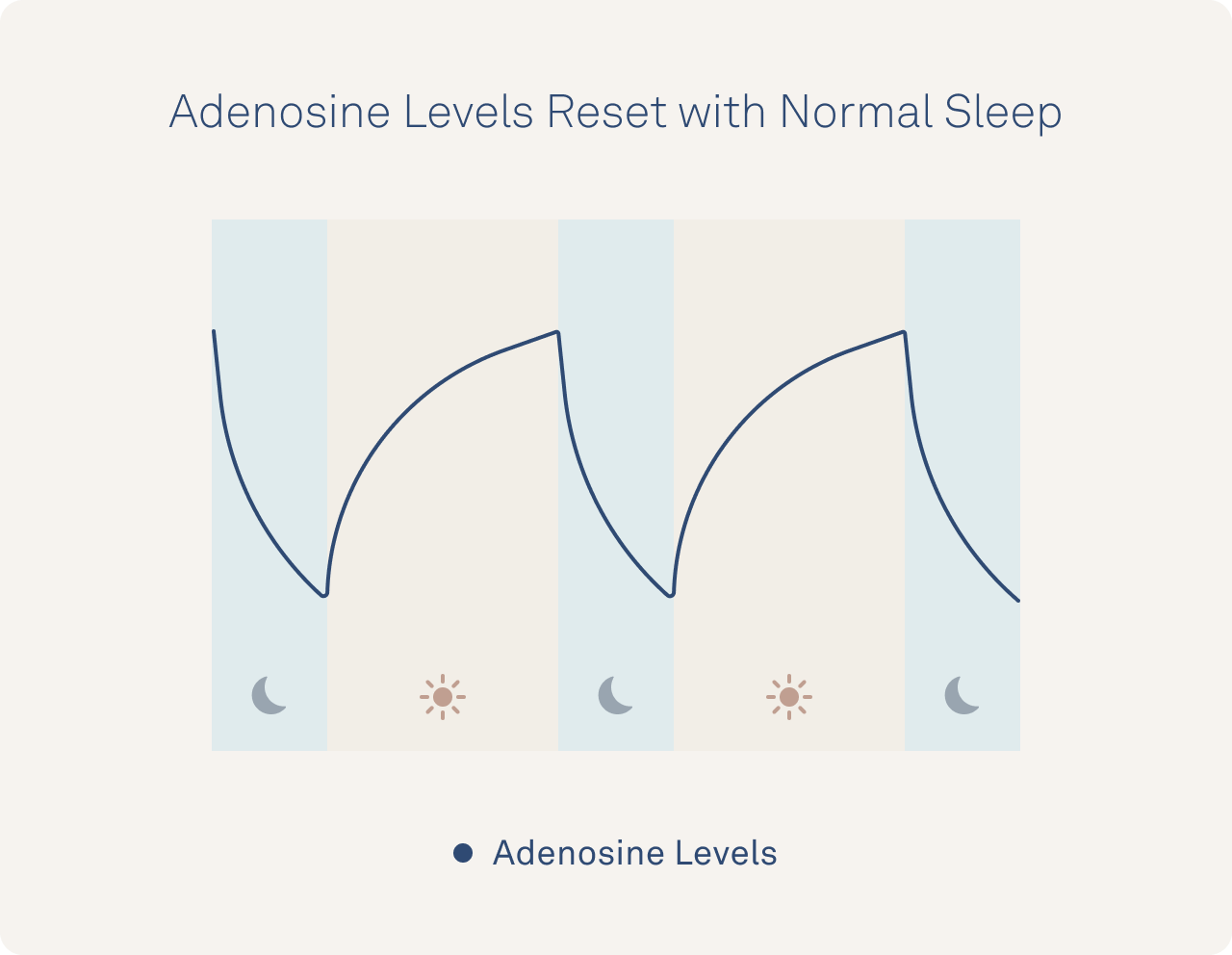 How Caffeine Impacts Your Sleep