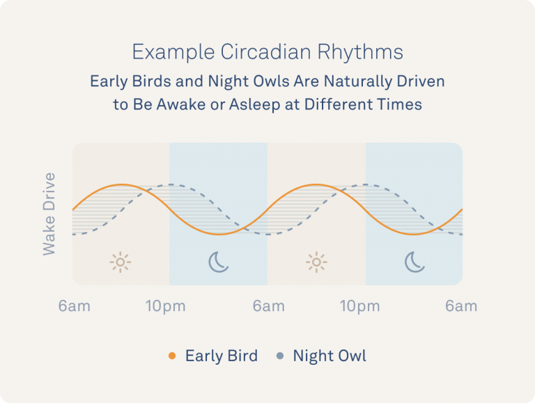 Circadian Rhythms and Your Bedtime - The Pulse Blog