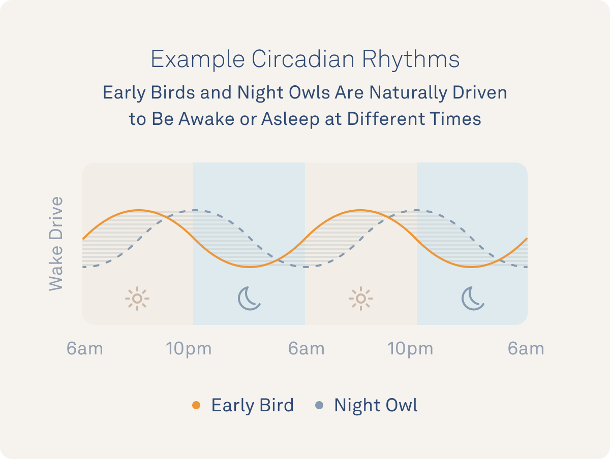 Circadian Rhythms and Your Bedtime - The Pulse Blog
