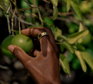 How Does the Oura Ring Track My Sleep? - The Pulse Blog