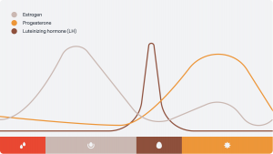 How Your Menstrual Cycle Impacts Your Entire Body - The Pulse Blog