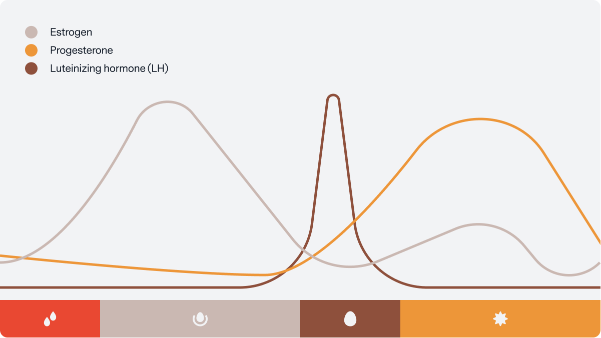 How Your Menstrual Cycle Impacts Your Entire Body - The Pulse Blog