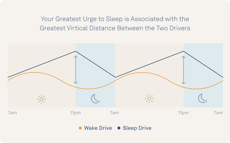 How Long Should You Nap? Is There a Perfect Nap Length? - The Pulse Blog