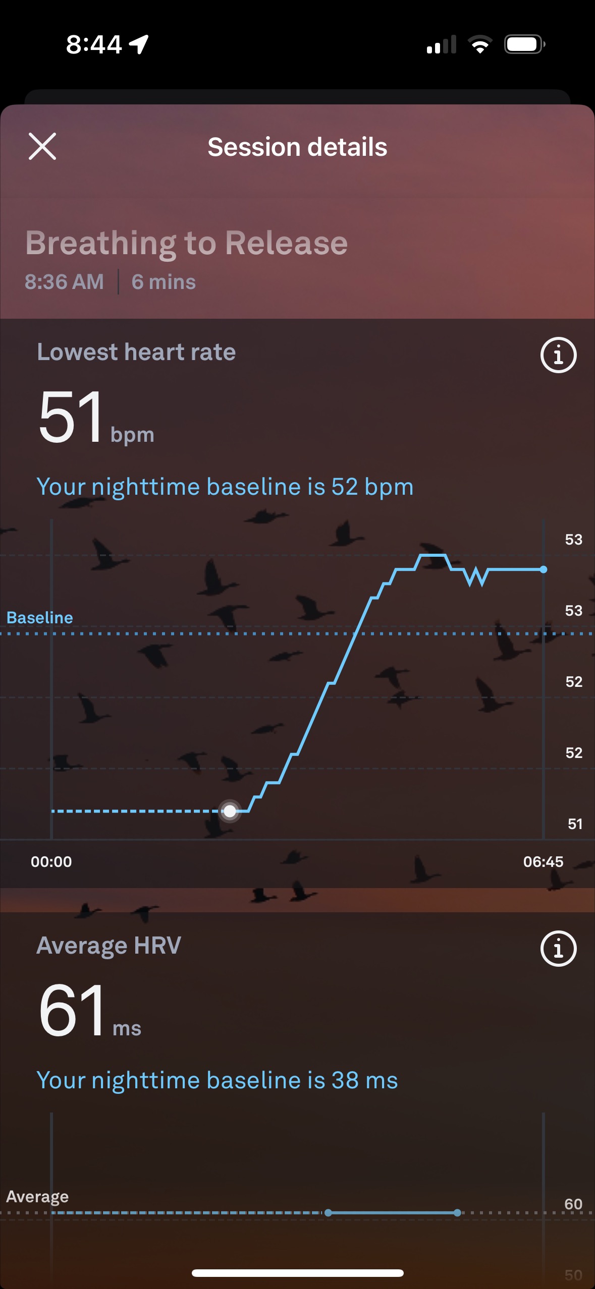 This Breathwork Coach Uses Oura to Measure Her Practice