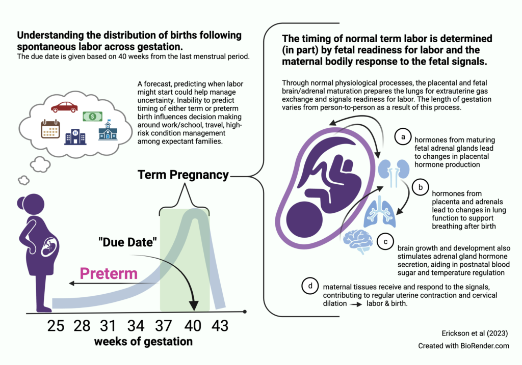 New Research Uses Oura to Predict If Labor Will Start Before or After ...